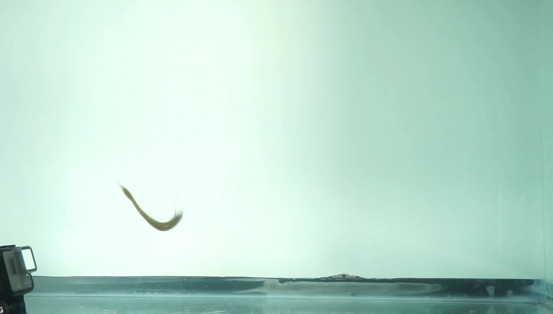 Drop Shot Fishing: 15 Baits Tested and Reviewed