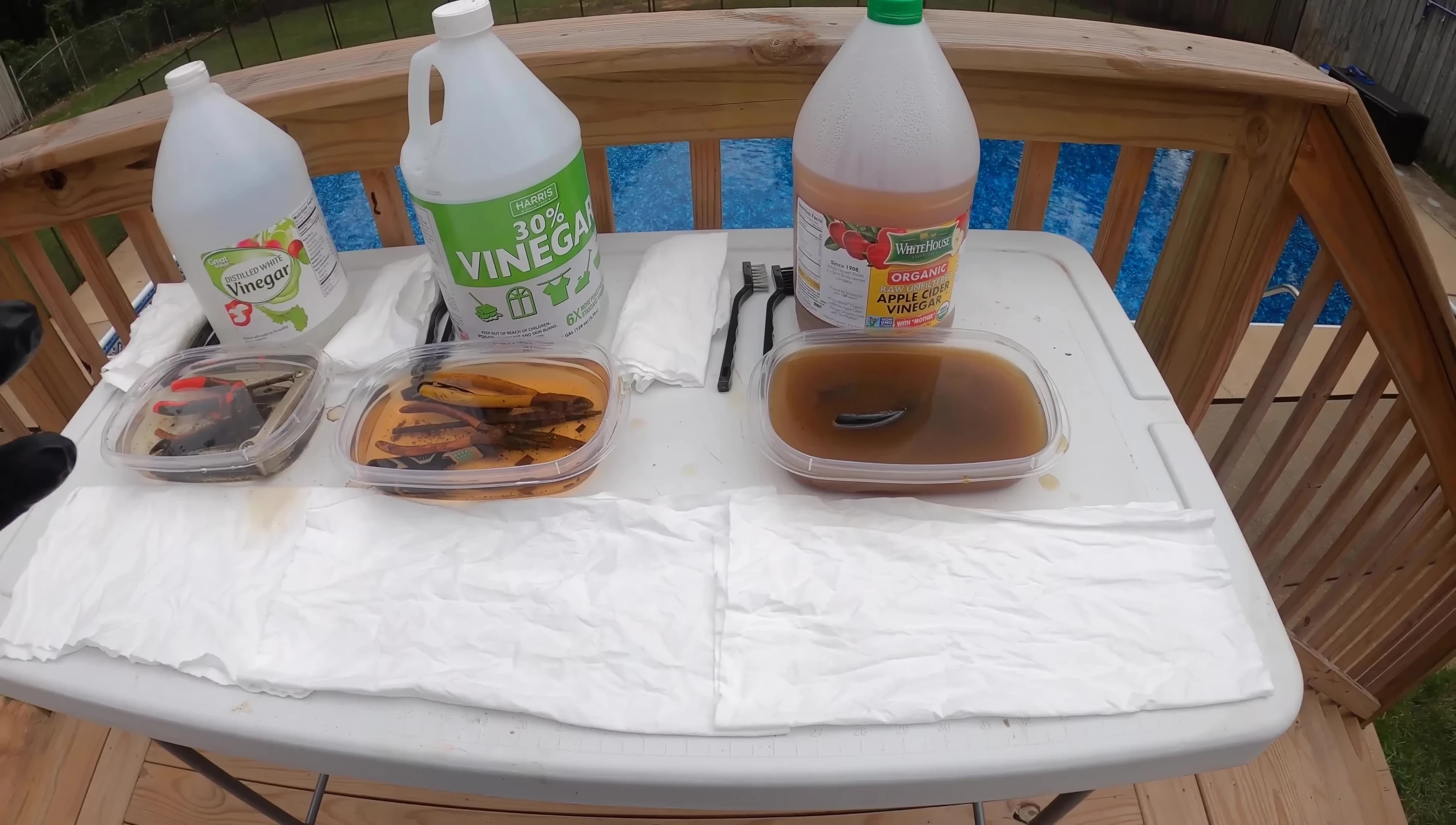 Rust Removal Showdown: Apple Cider vs. Distilled White vs. Industrial ...